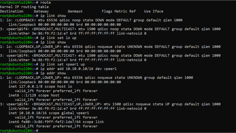 Real-time Packet Capture of linux bridge, ping namespaces and Display ...